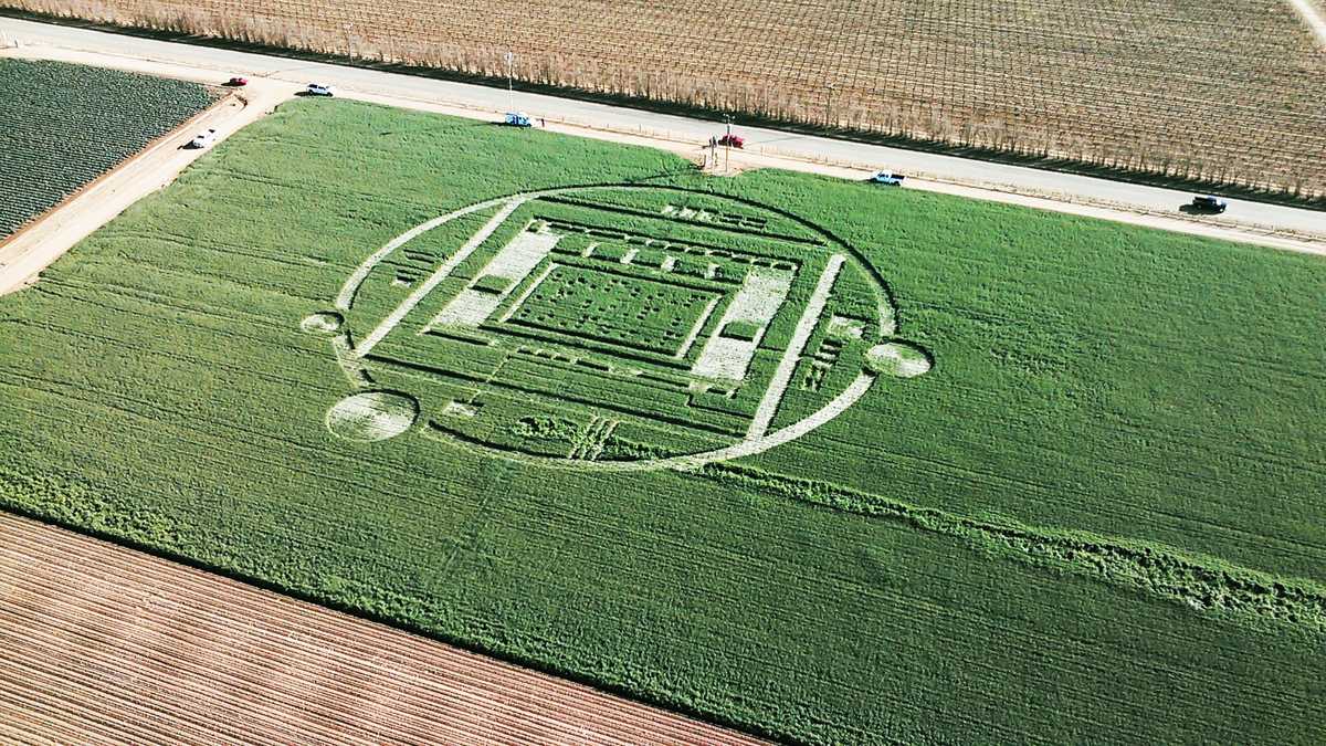 PHOTOS: Intricate crop circles appear in Chualar