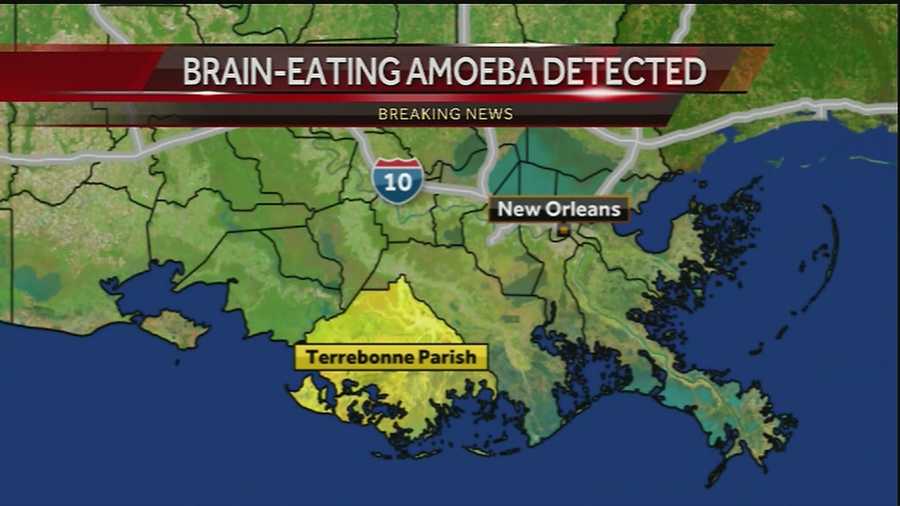 Brain-eating amoeba found in Terrebonne Parish water system, officials say