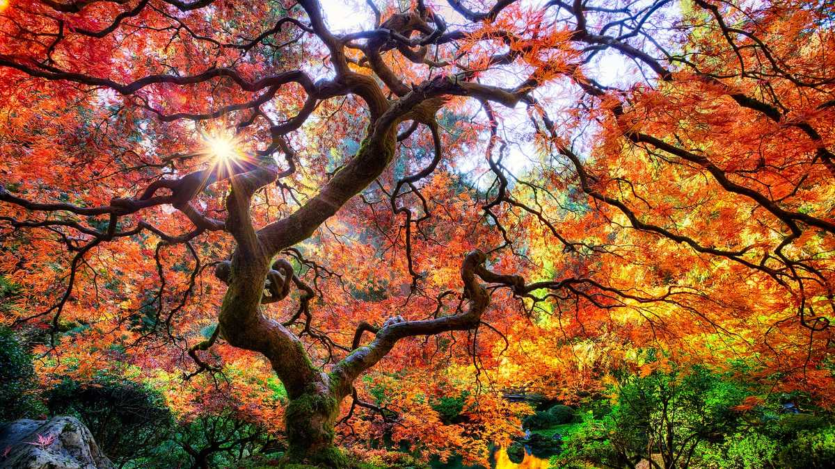 Top fall foliage destinations for 2015