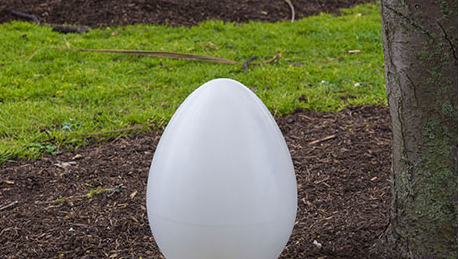 The biodegradable burial pod that turns your body into a tree