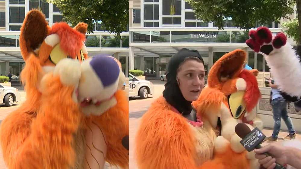 A furry unmasked: Dibs Dingo explains the attraction of Anthrocon