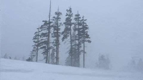 Heavy snow closes I-80 in Sierra due to whiteout conditions