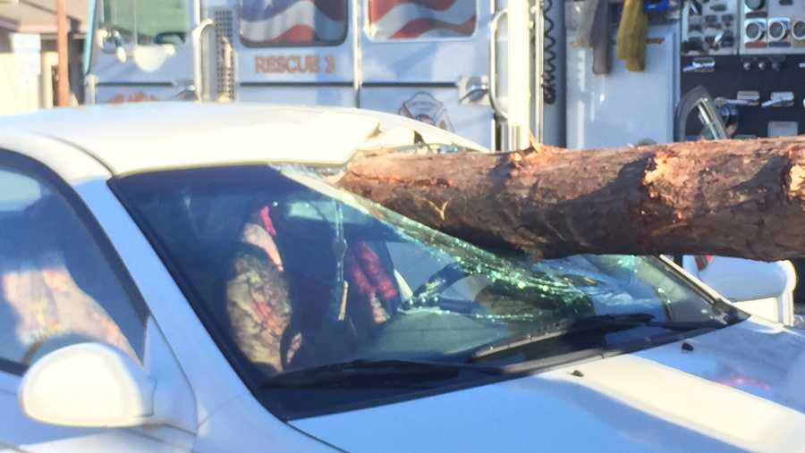 Log crashes through man's windshield, amazingly he survived