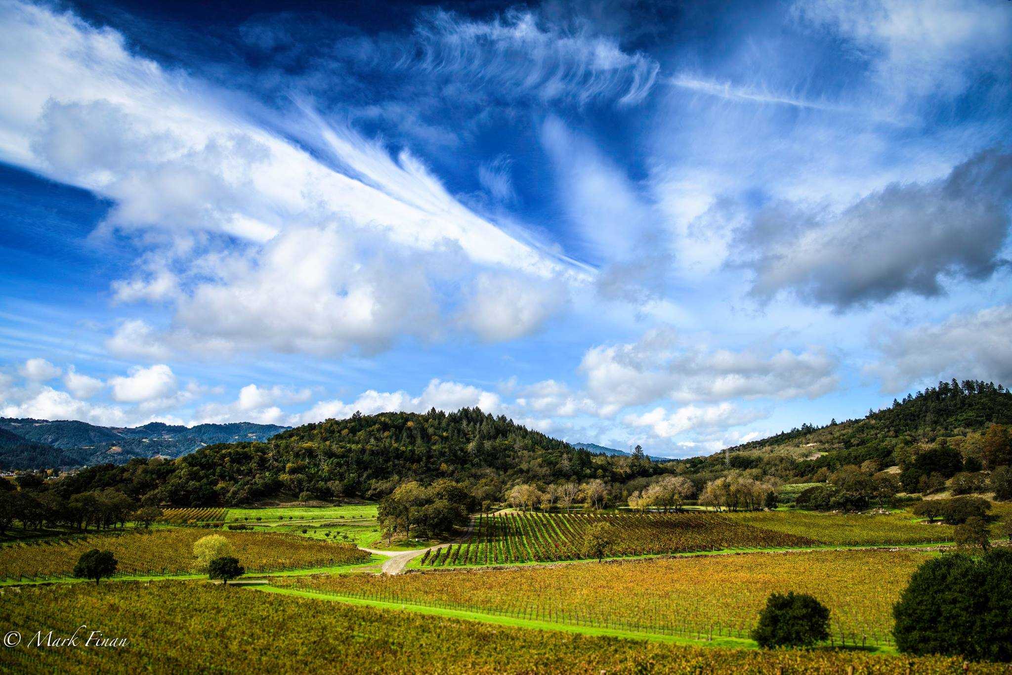 15 Instagram-worthy NorCal spots you should check out