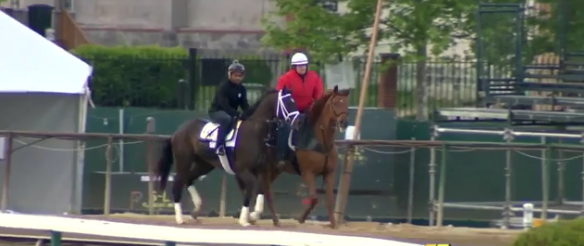 Albuquerque news - NewsLocker