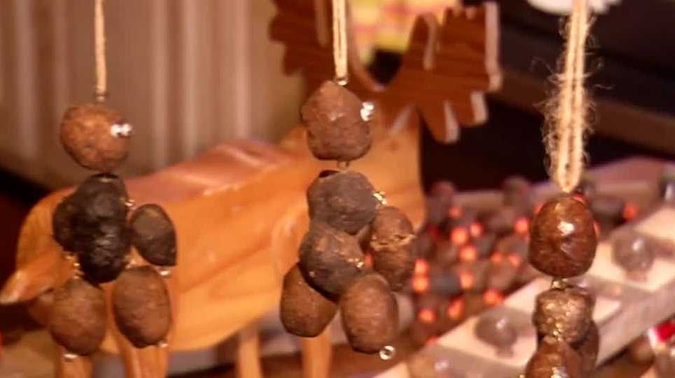 Maine woman uses moose poop to create, sell art