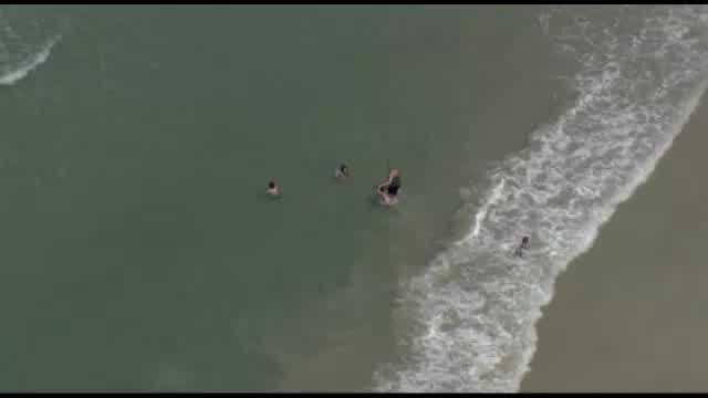 Raw video: Shark swims near beachgoers on New Smyrna Beach Raw video: Shark swims near beachgoers on New Smyrna Beach